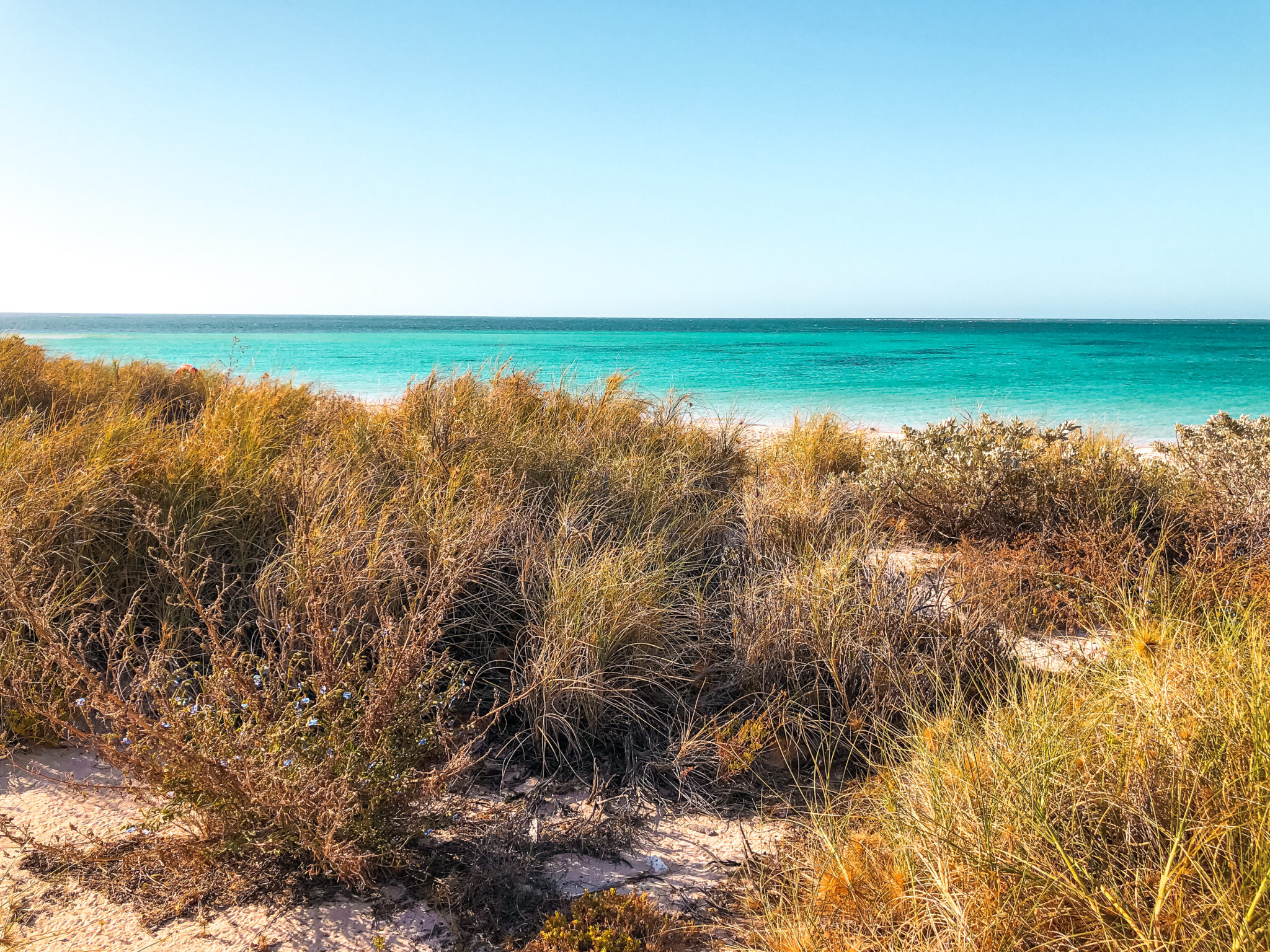 The Ultimate West Coast Australia Road Trip: Perth to Broome - Carina ...