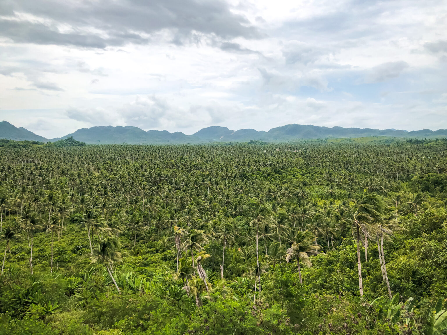 The ultimate Backpacking Guide to the Philippines - Carina Goes Global ...