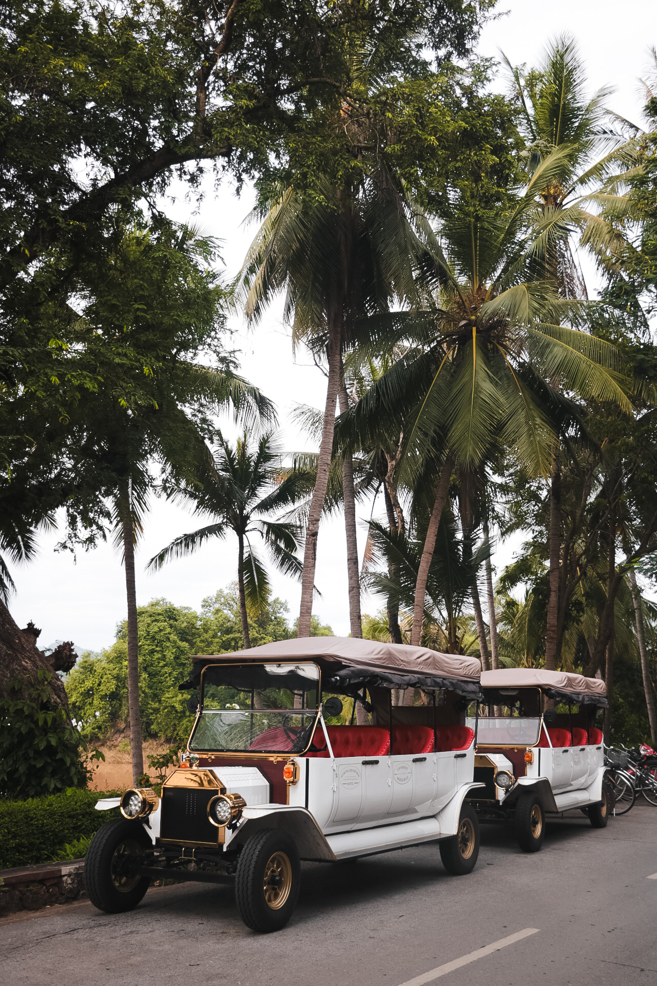 The ultimate travel Guide to Laos - Carina Goes Global | TRAVEL BLOG