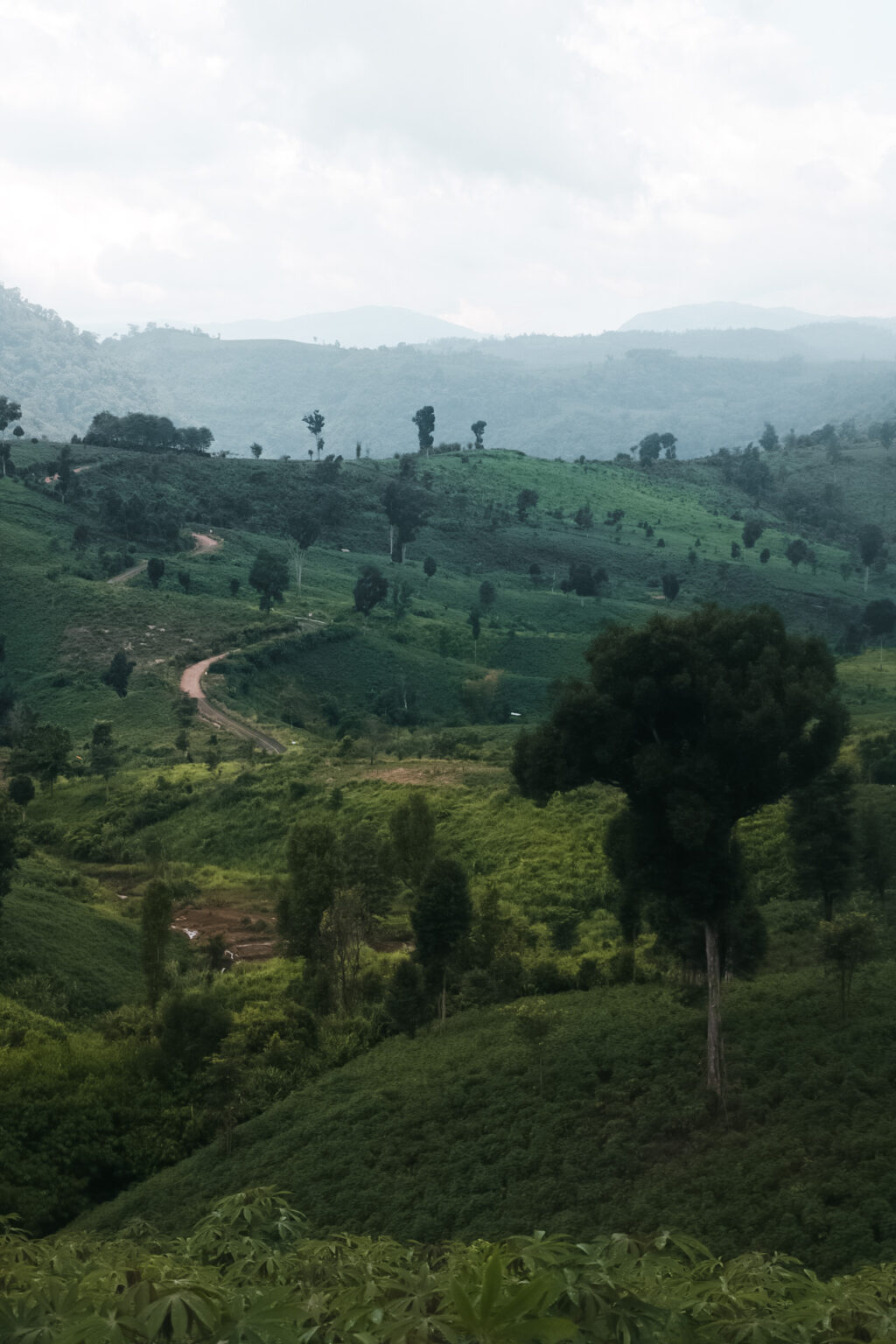 Pakse Loop: The Ultimate Motorbike Travel Guide - Carina Goes Global ...