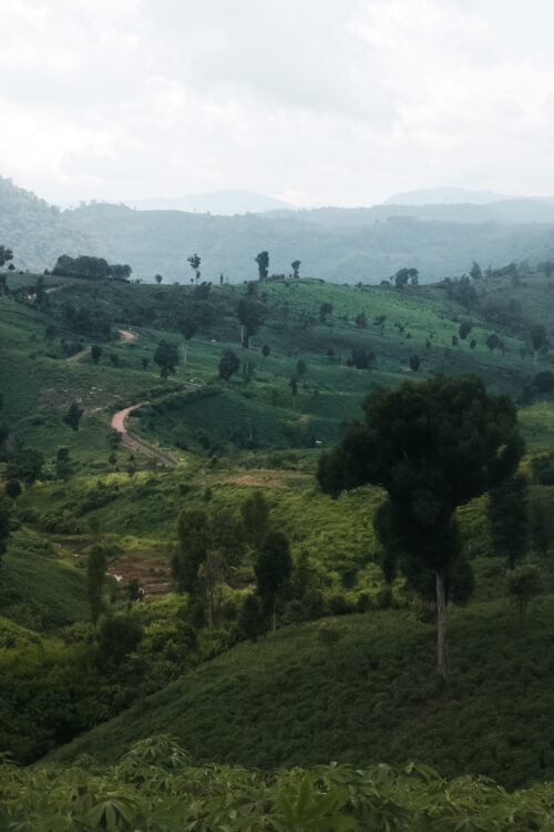 Pakse Loop: The Ultimate Motorbike Travel Guide - Carina Goes Global ...