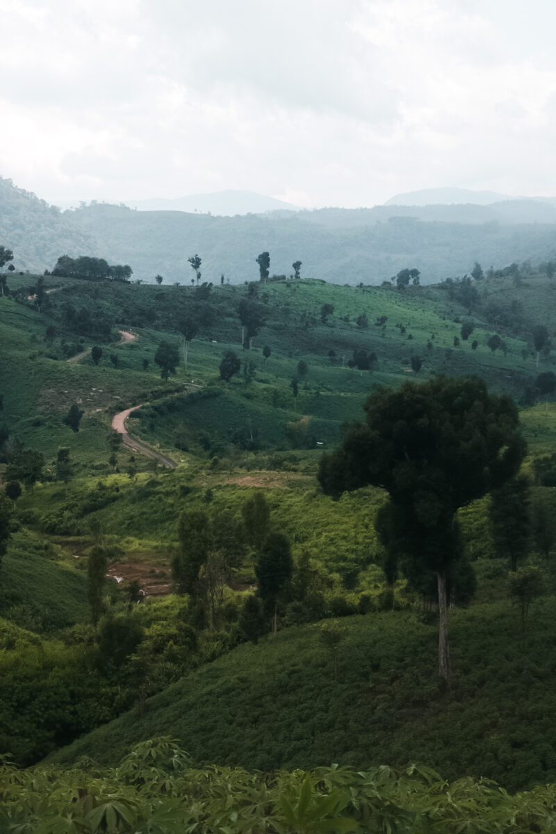 Pakse Loop: The Ultimate Motorbike Travel Guide - Carina Goes Global ...