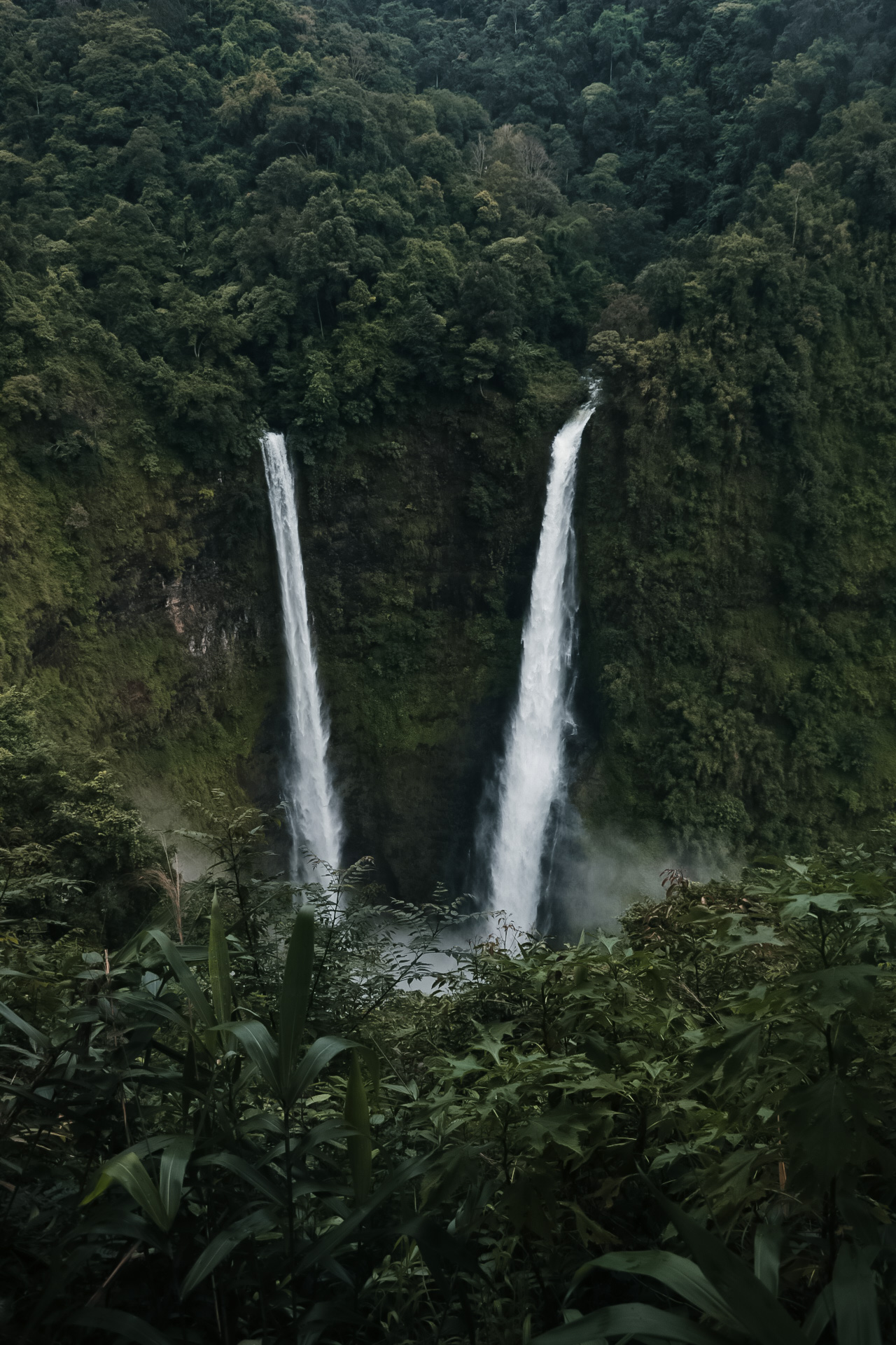 Pakse Loop: The Ultimate Motorbike Travel Guide - Carina Goes Global ...